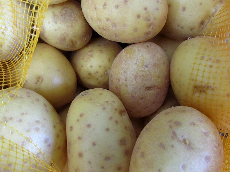 Zusatzstoff Natriumdisulfit E 223 - Zusatzstoffe-Liste.de