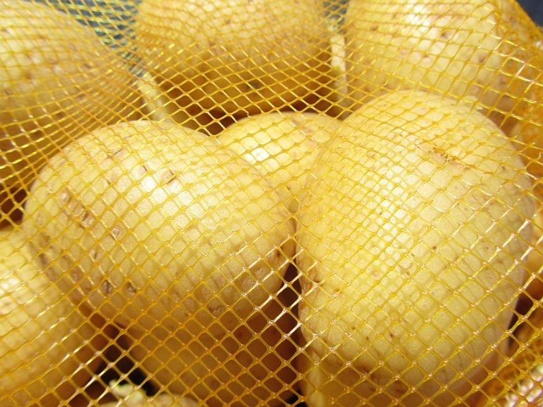 Zusatzstoff Natriumdisulfit E 223 - Zusatzstoffe-Liste.de